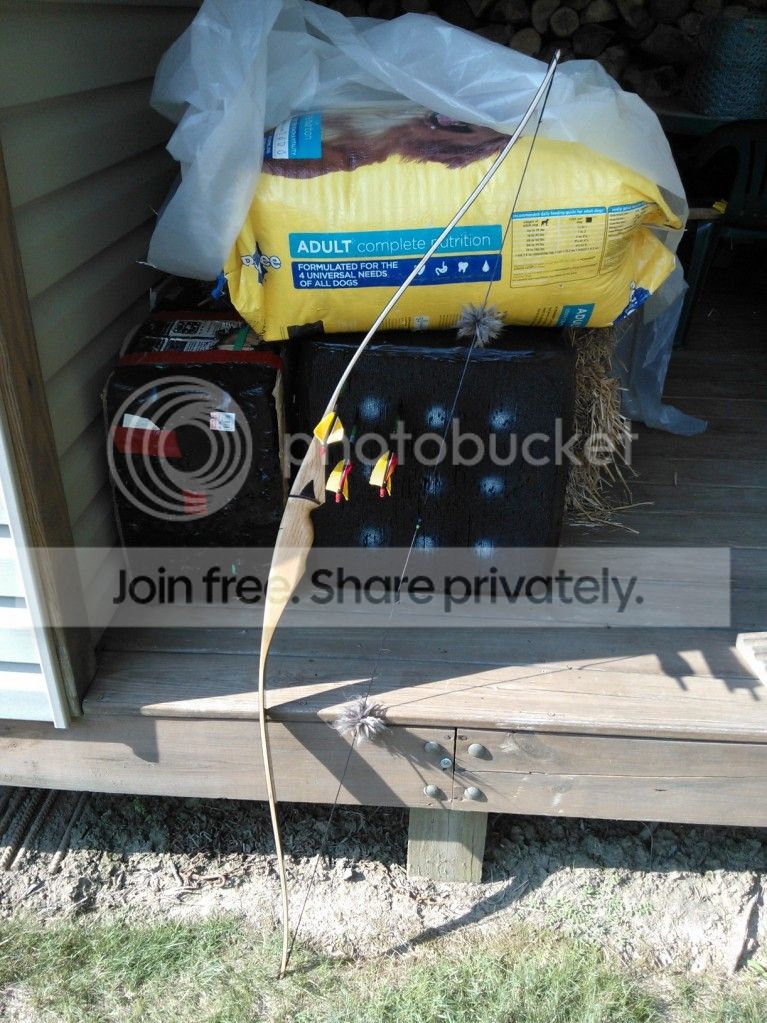 Omega - The Bow and Bowyer | Archery Talk Forum