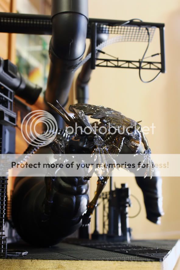 Custom Aliens Egg Chamber Story by cylocust | Photobucket